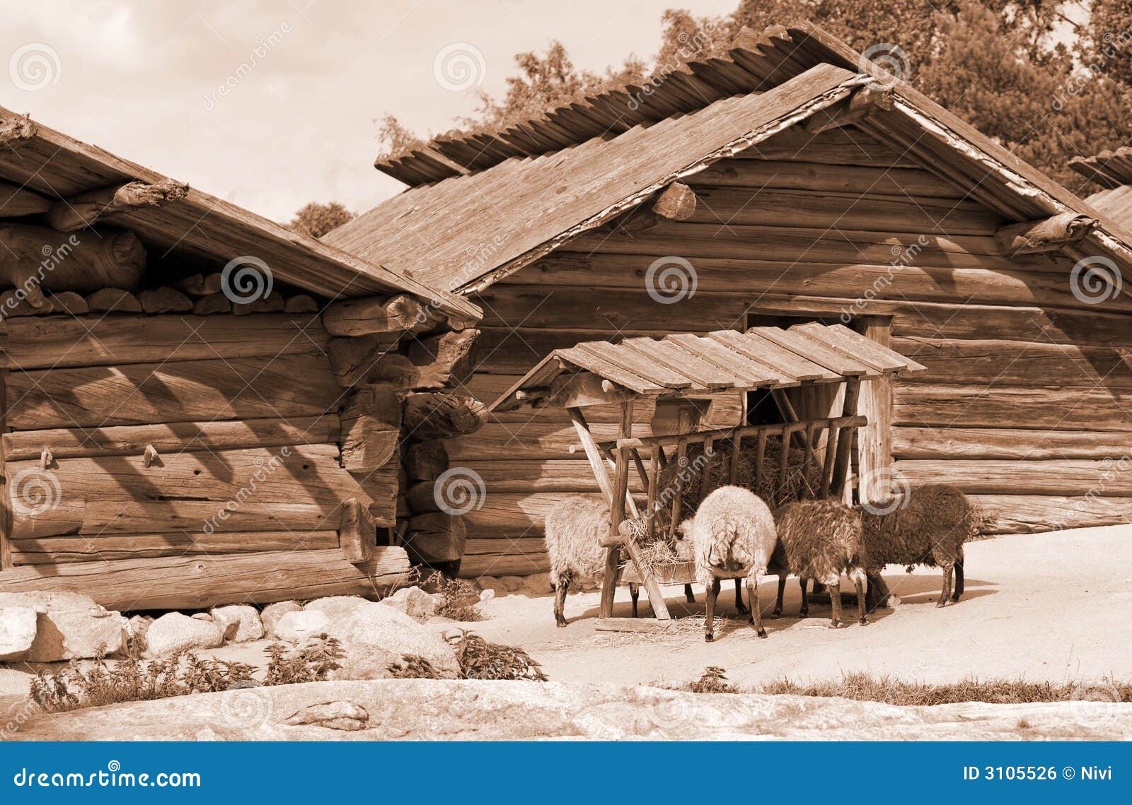 Rustic Old Log Farm Buildings Stock Photo - Image of eating, barns: 3105526