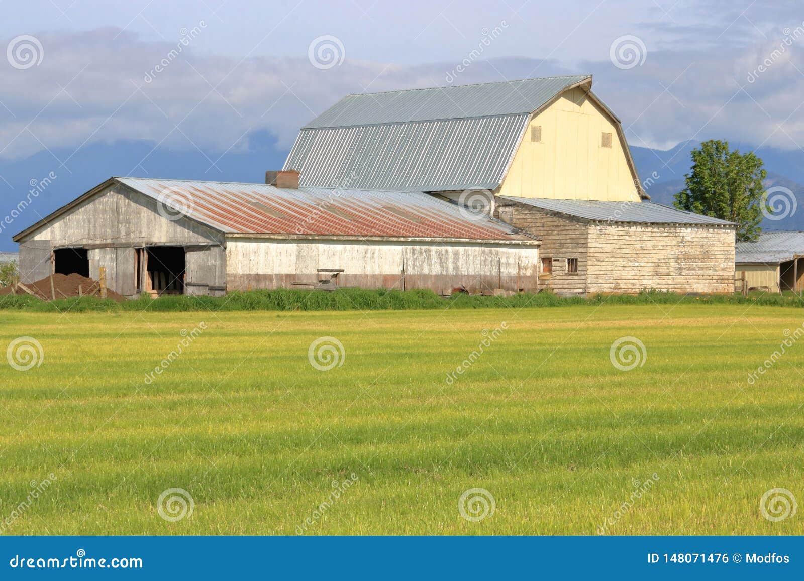 Rustic and Old Traditional Farm Buildings Stock Photo - Image of ...
