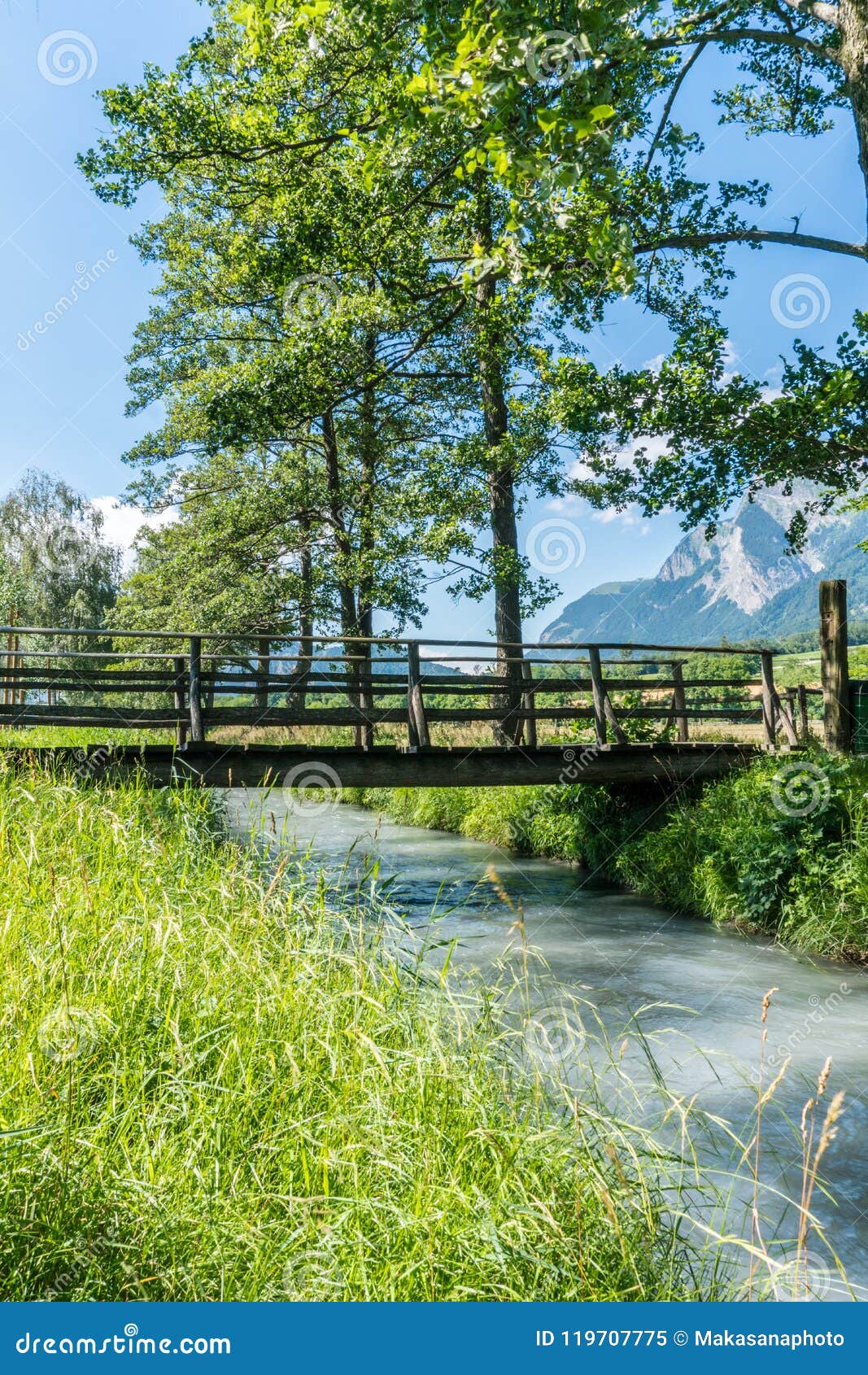 Rustic Old Wooden Bridge Over a Small Stream in a Tree-lined Alley ...