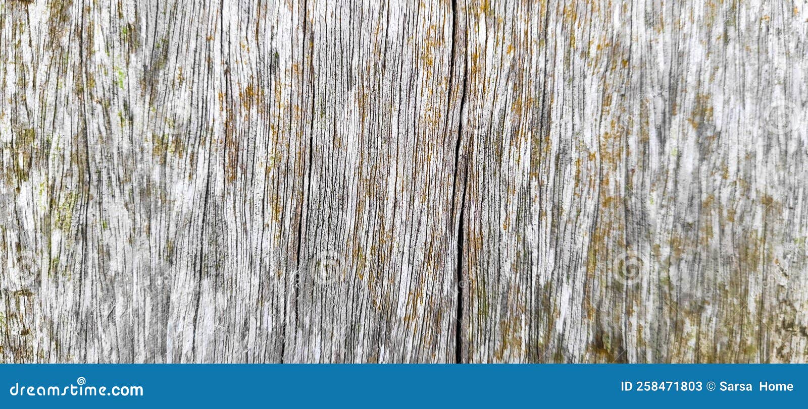 Rustic Old Wooden Log with Texture, Shadow Stock Image - Image of ...