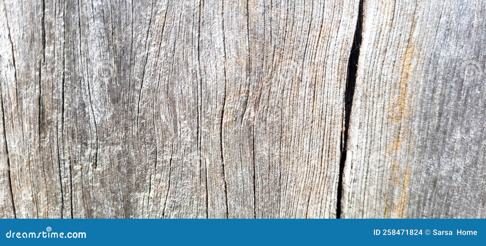 Rustic Old Wooden Log with Texture ,shadow Stock Photo - Image of ...