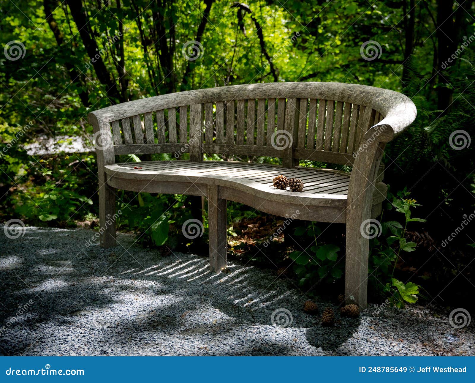 A Rustic Old Wooden Rounded Bench in Dappled Sunlight on a Forest Path ...