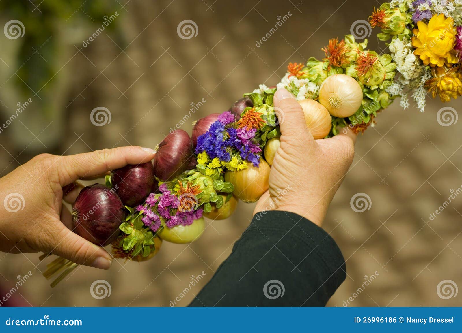 Rustic onion plait stock photo. Image of crop, herbs - 26996186
