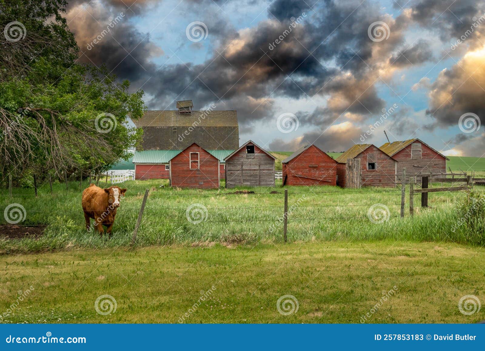 Rustic Out Buildings in Huxley Alberta Canada Stock Image - Image of ...