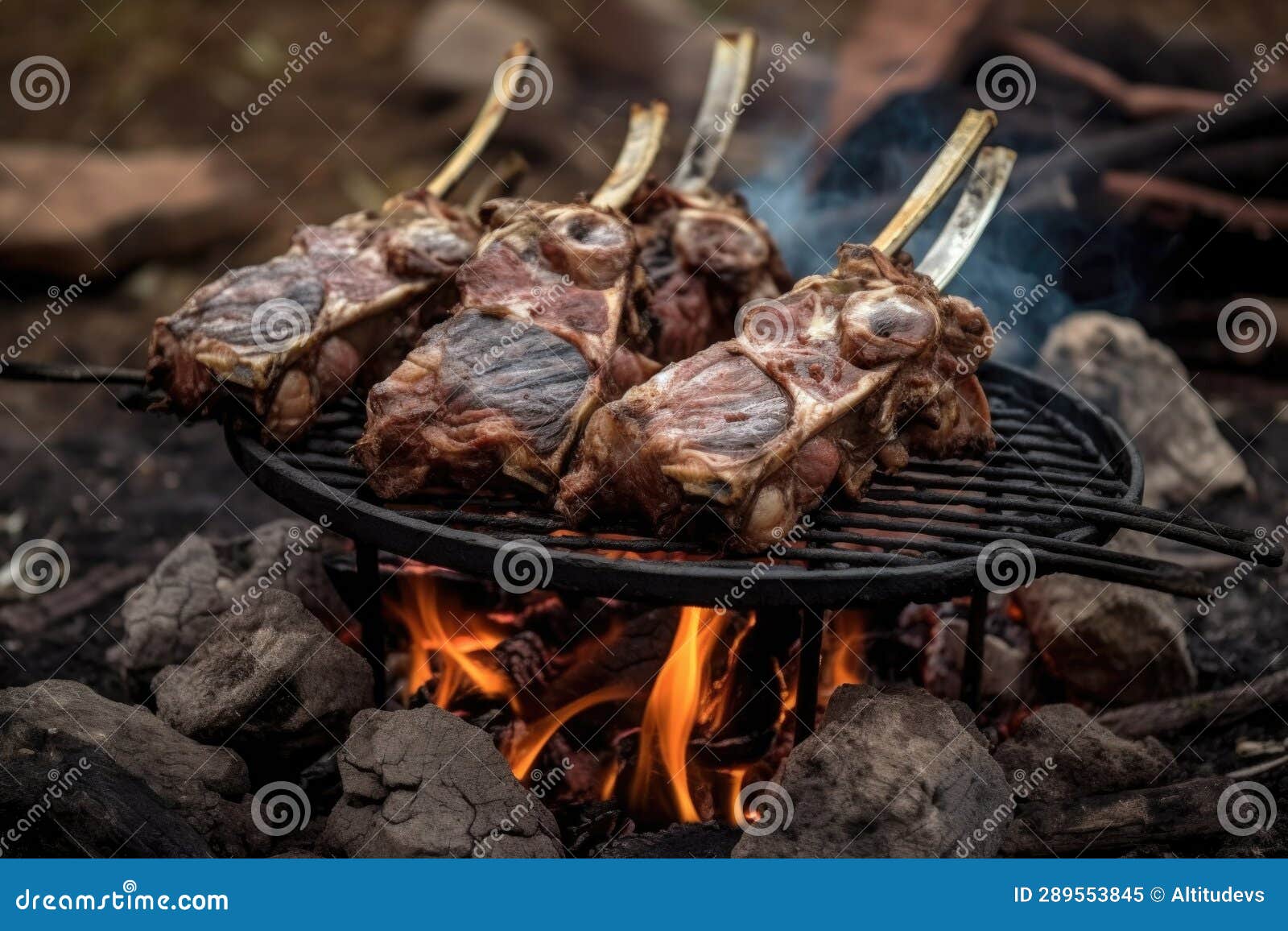 Rustic Outdoor Cooking - Lamb Chops on Campfire Coals Stock ...