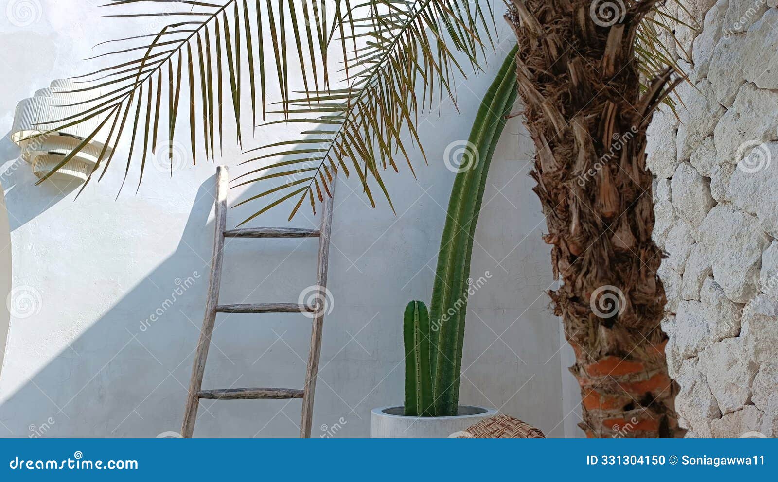 Rustic Outdoor Oasis with Palm Trees and Ladder Decor Stock Photo ...
