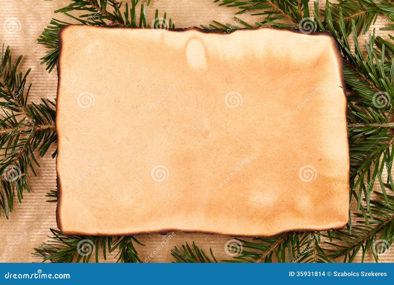 Rustic Paper with Branch Around Stock Photo - Image of texture, classic ...