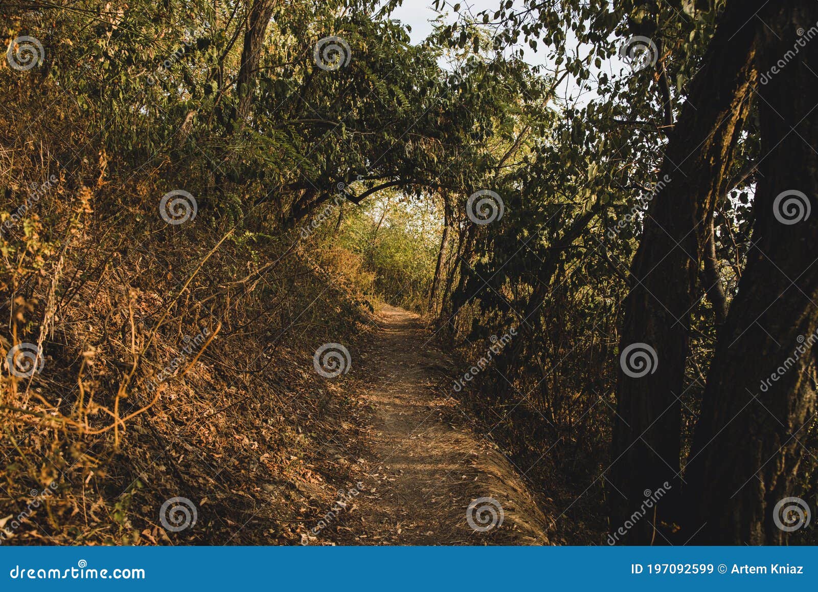 Rustic Park Outdoor Autumn Trail Nature Environment Stock Image - Image ...