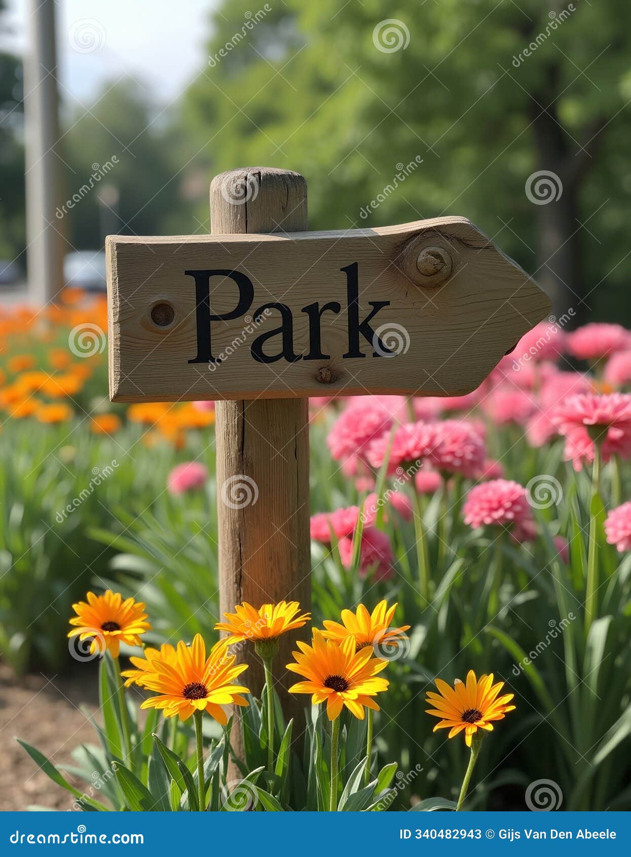 Rustic Park Sign with Vibrant Flower Garden Backdrop Stock Illustration ...