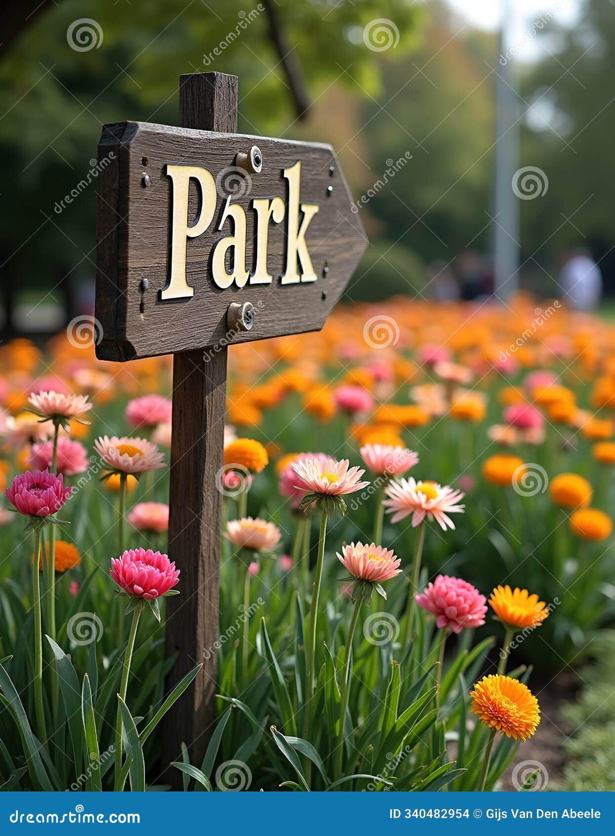Rustic Park Sign with Vibrant Flower Garden Backdrop Stock Illustration ...