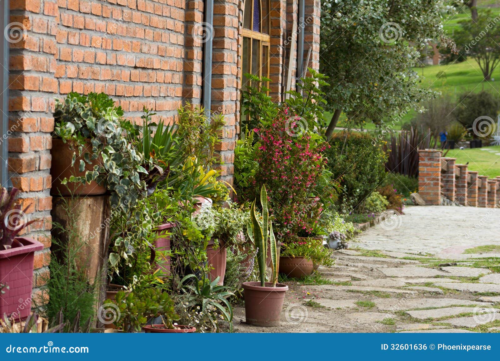 Rustic Path Lined with Plants Stock Photo - Image of pots, ecuador ...