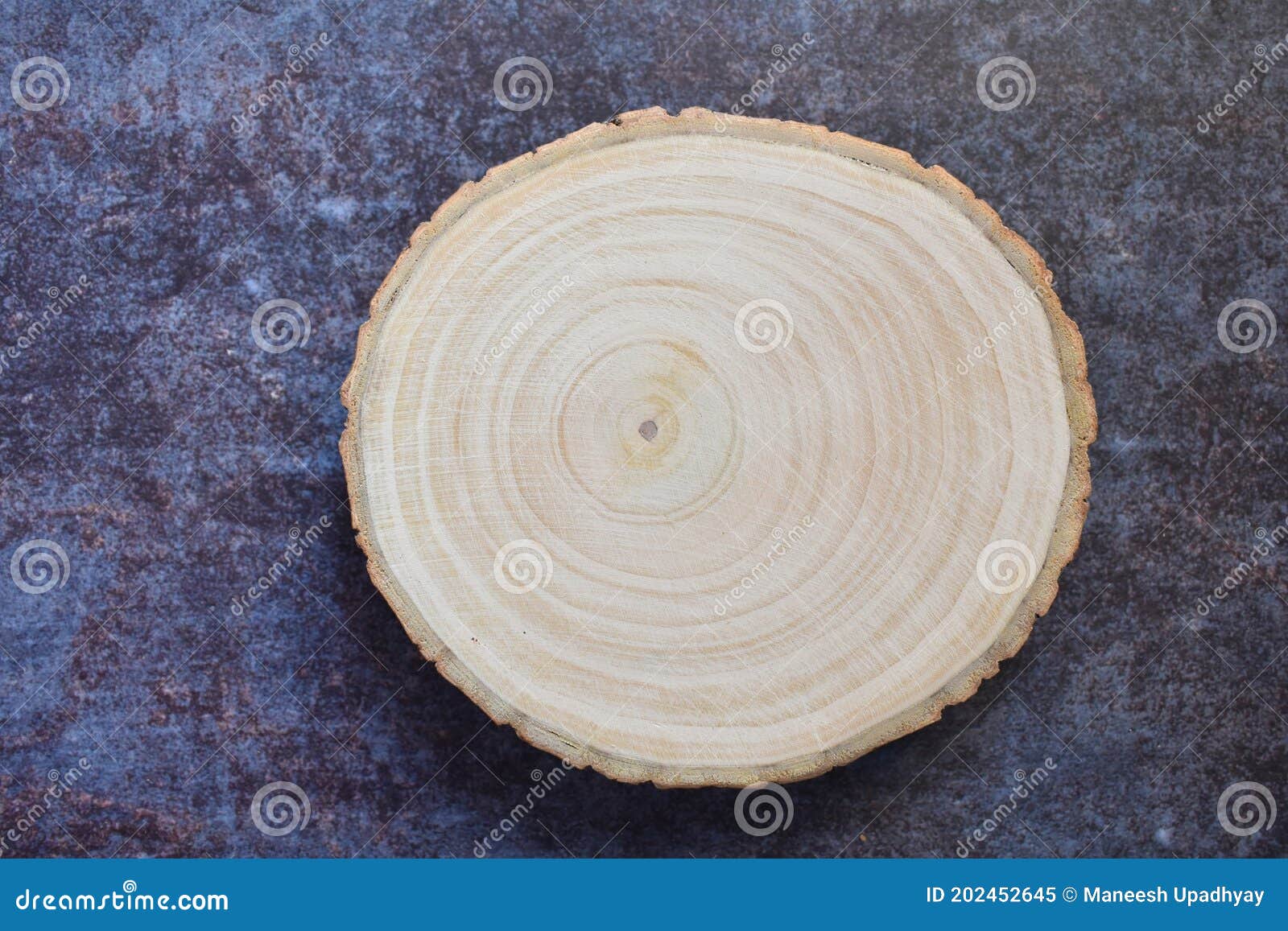 Rustic Pine Wood Round Tree Stump Stock Image - Image of tree, rustic ...