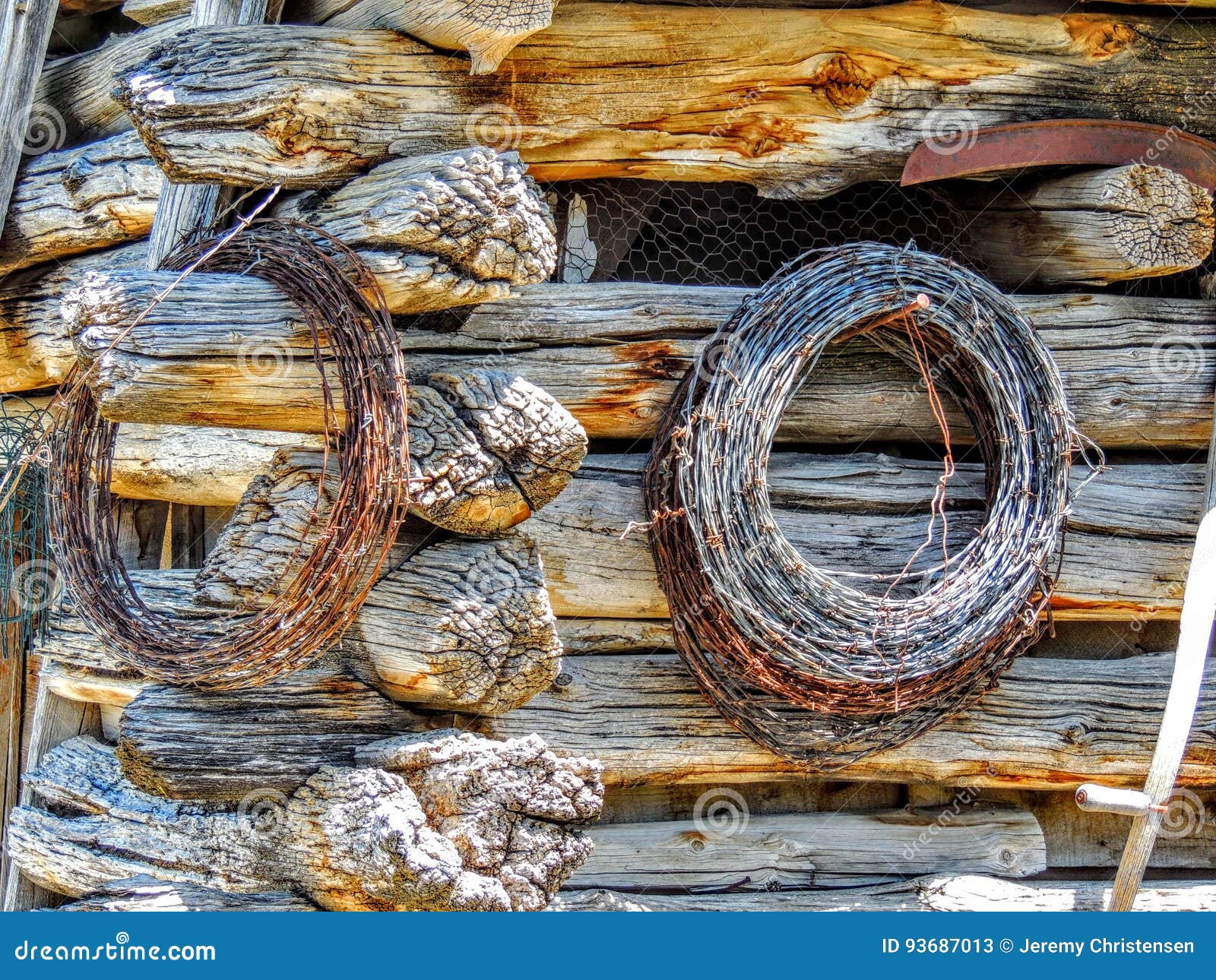 Rustic Pioneer Log Cabin with Rusty Barbed Wire Rolls Stock Image ...