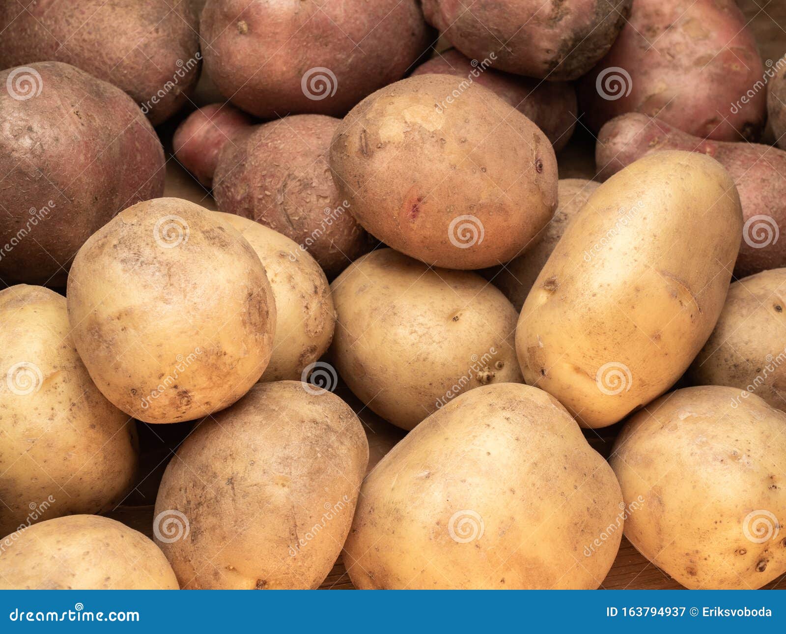 Rustic Potatoes. Vegetables from Farmhouse Field is Lying in Bulk ...