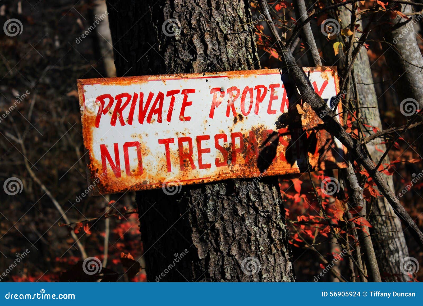 Rustic Private Property Sign Stock Photo - Image of setting, fall: 56905924
