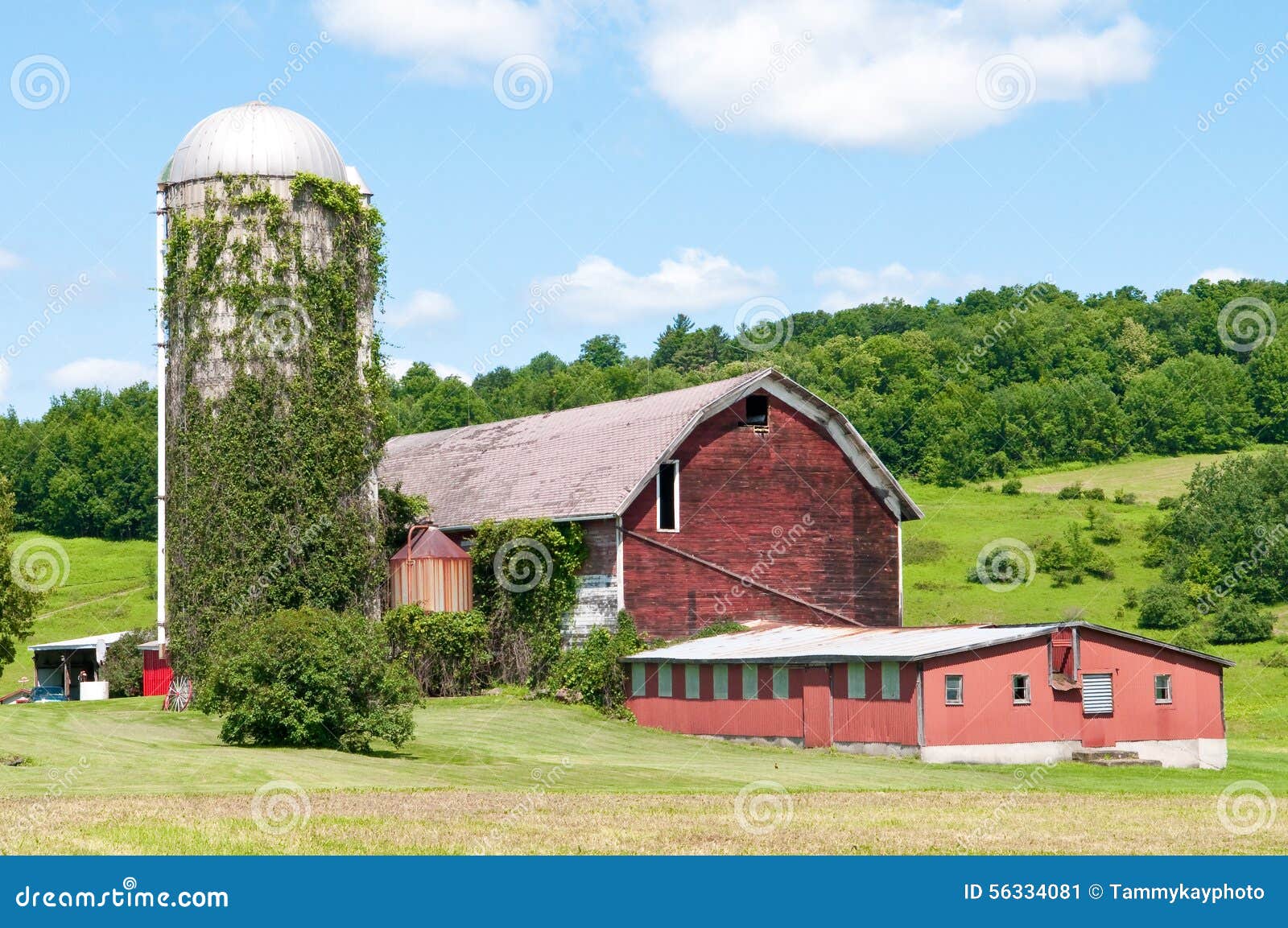 Rustic Red Barn during Spring in New York Stock Image - Image of ...