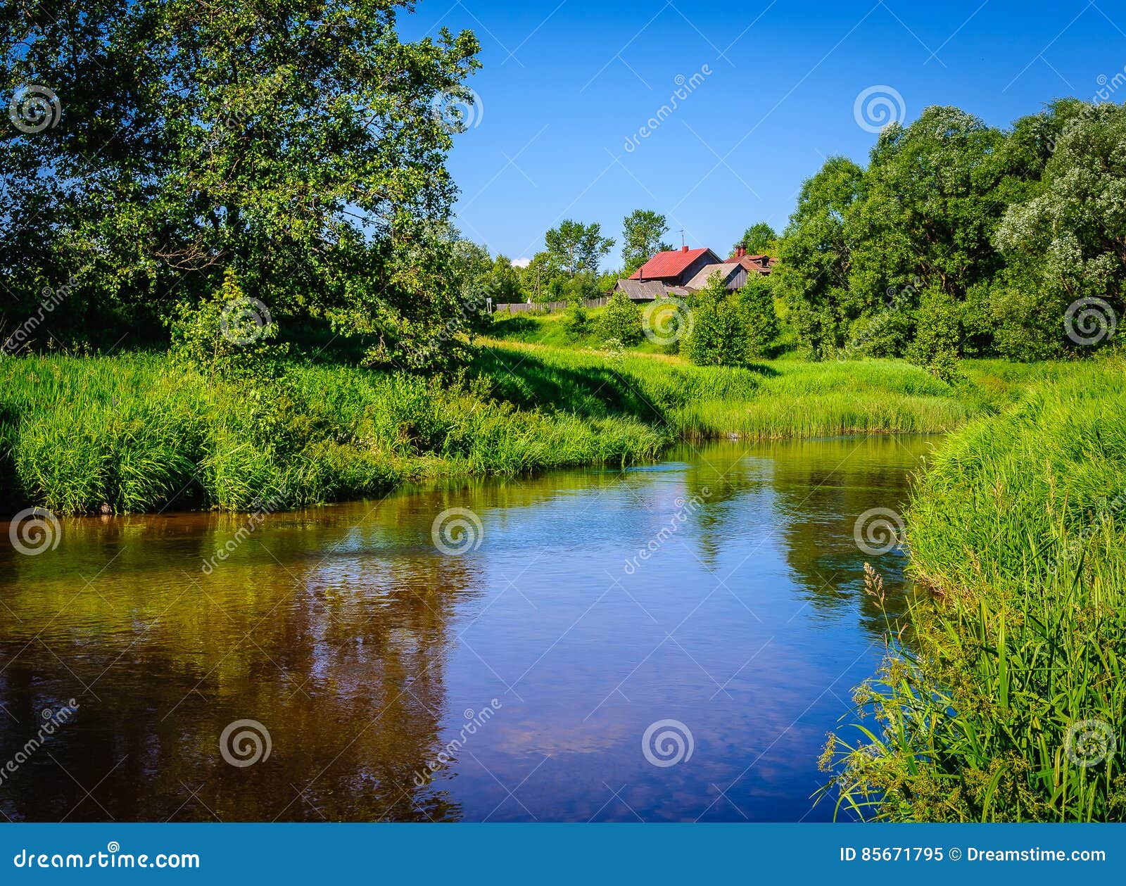 Rustic river stock image. Image of river, vegetation - 85671795