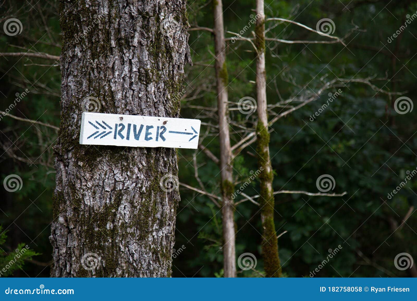 A Rustic River Sign on a Tree Stock Photo - Image of garden, hiking ...