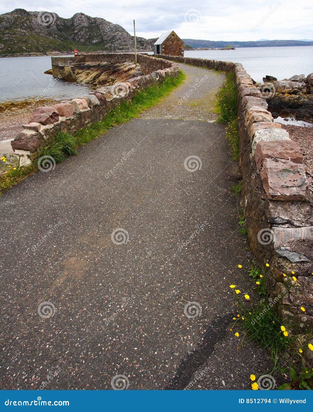 Rustic road in Scotland stock photo. Image of nature, country - 8512794