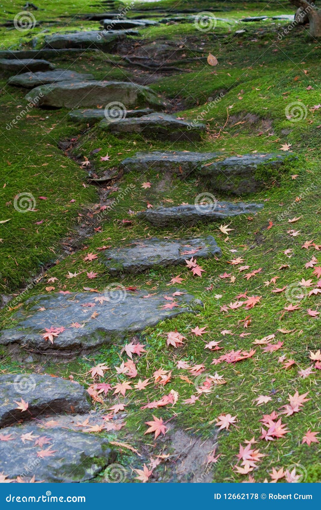 Rustic rock steps stock photo. Image of stairs, color - 12662178