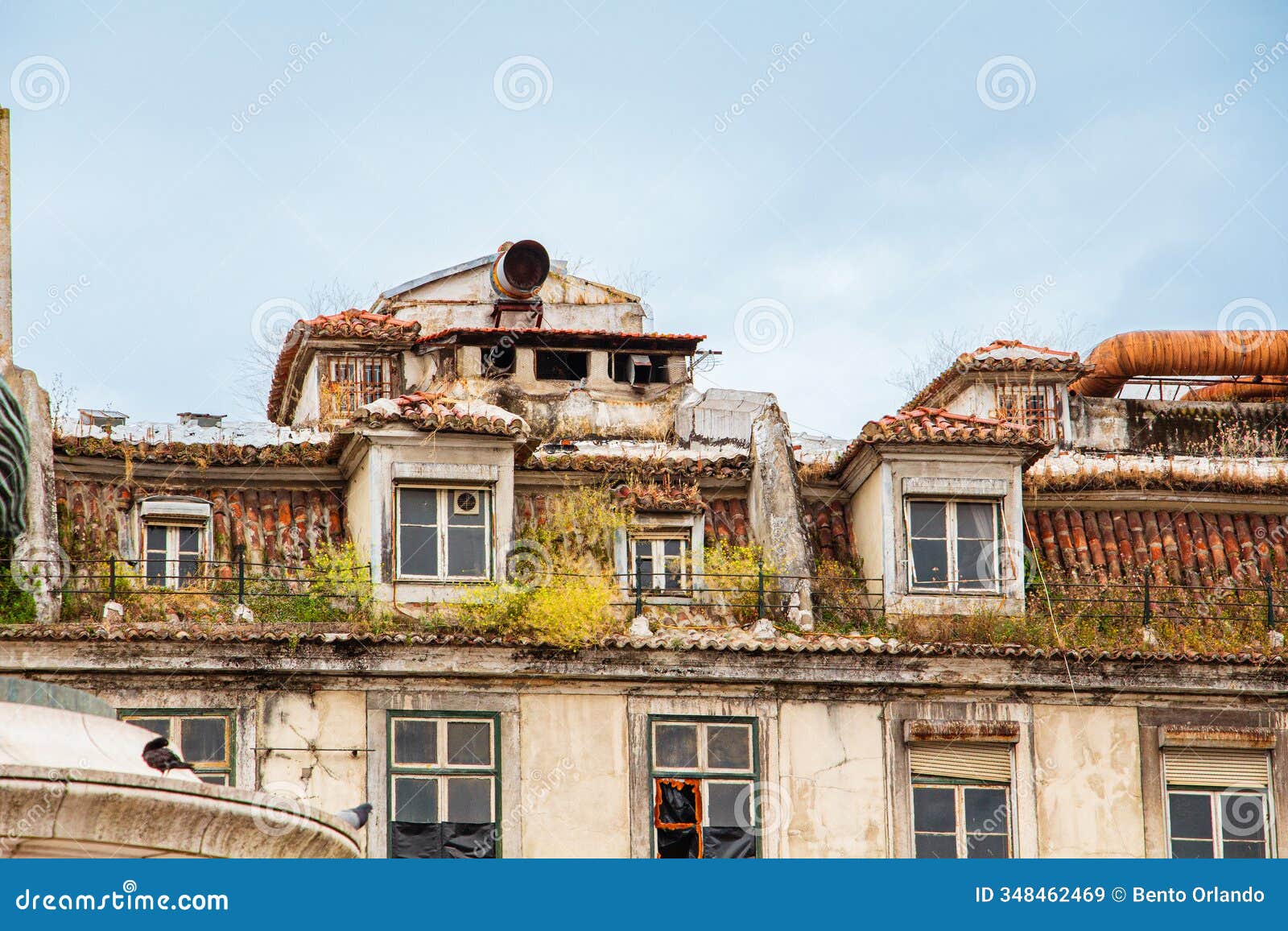 Rustic Rooftop of an Old Abandoned Building with Overgrown Vegetation ...