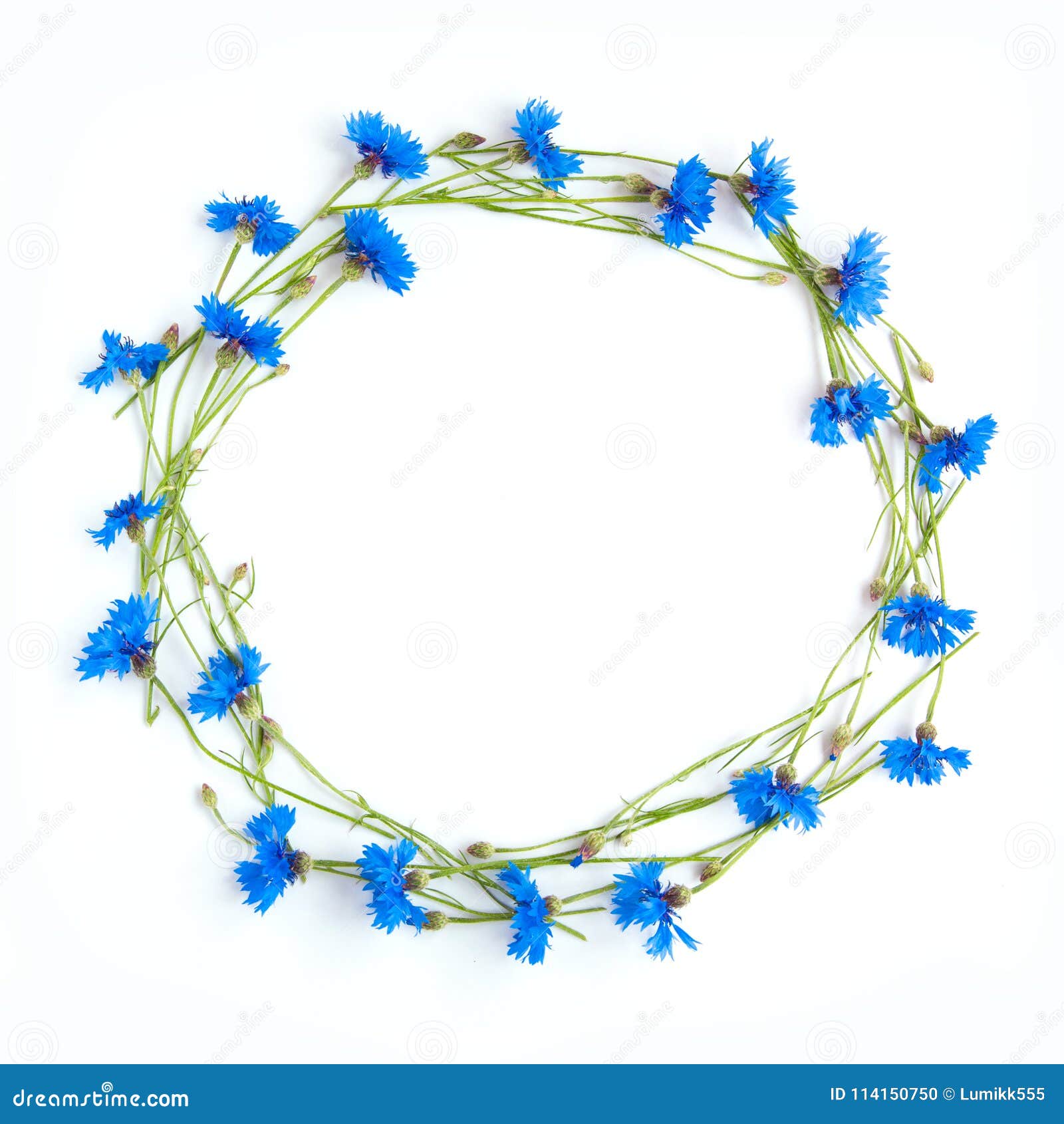Rustic Round Frame of Blue Cornflower Stock Photo - Image of copy ...