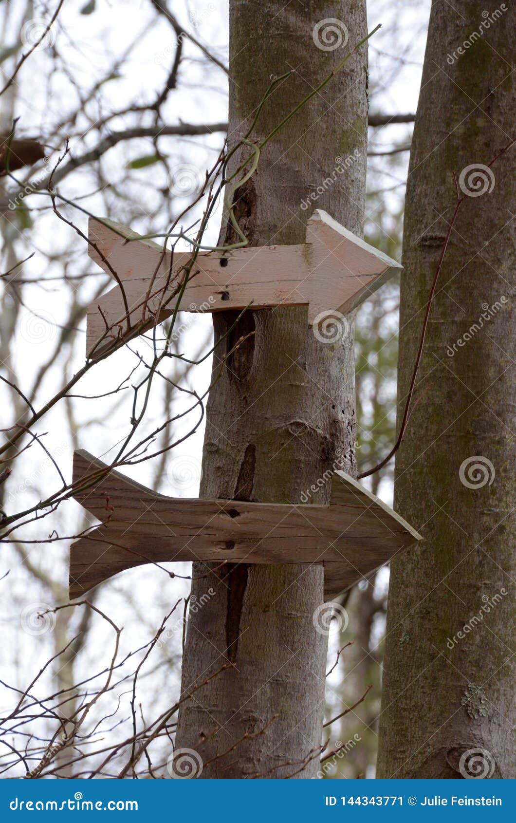 Arrow Sign Post stock image. Image of mark, hike, arrows - 144343771