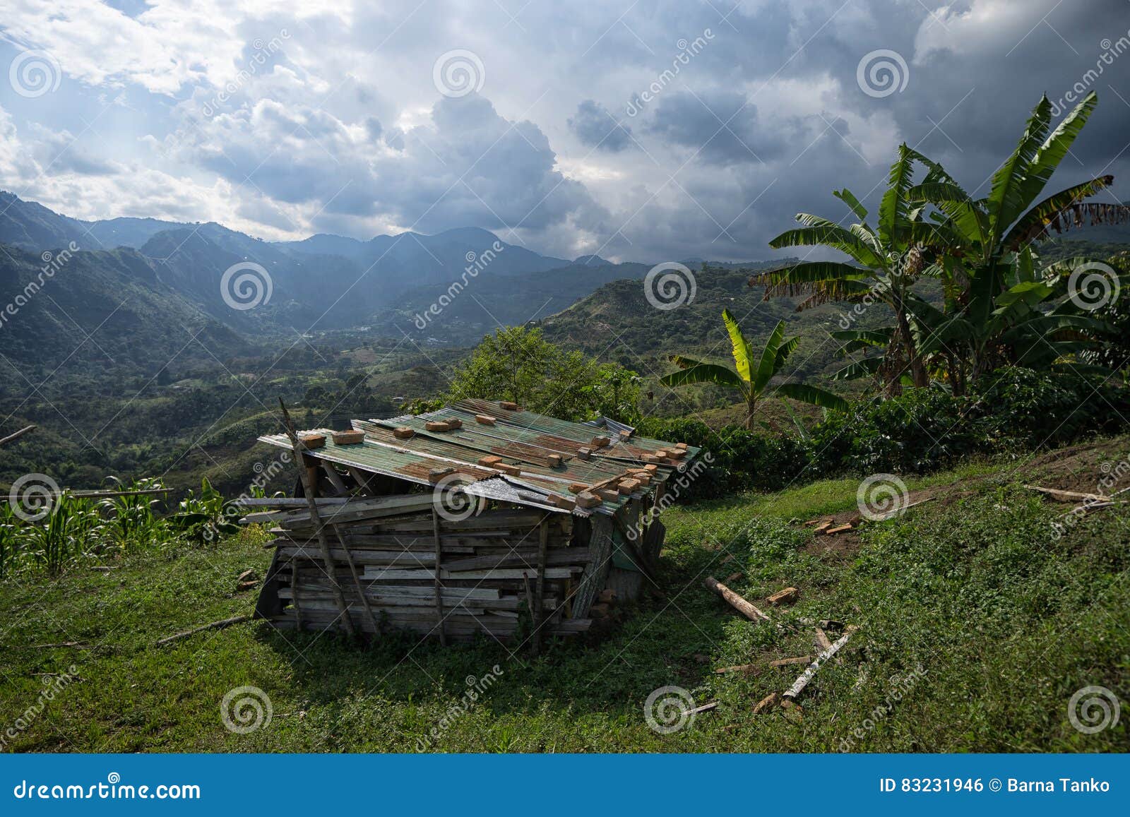 Rustic shack in Colombia stock photo. Image of tierradentro - 83231946