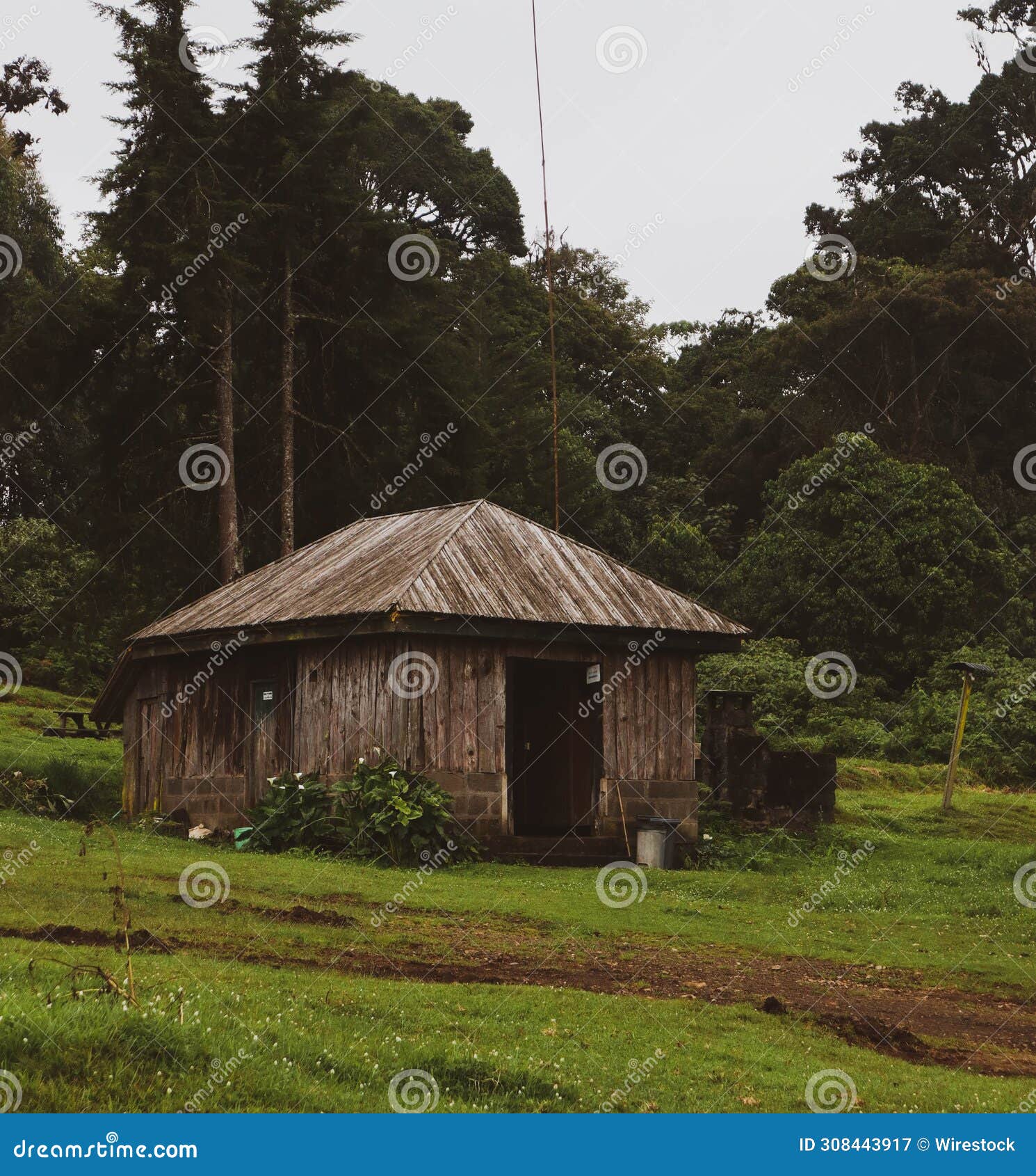 Rustic Shack in a Serene Field Surrounded by Trees. Stock Image - Image ...