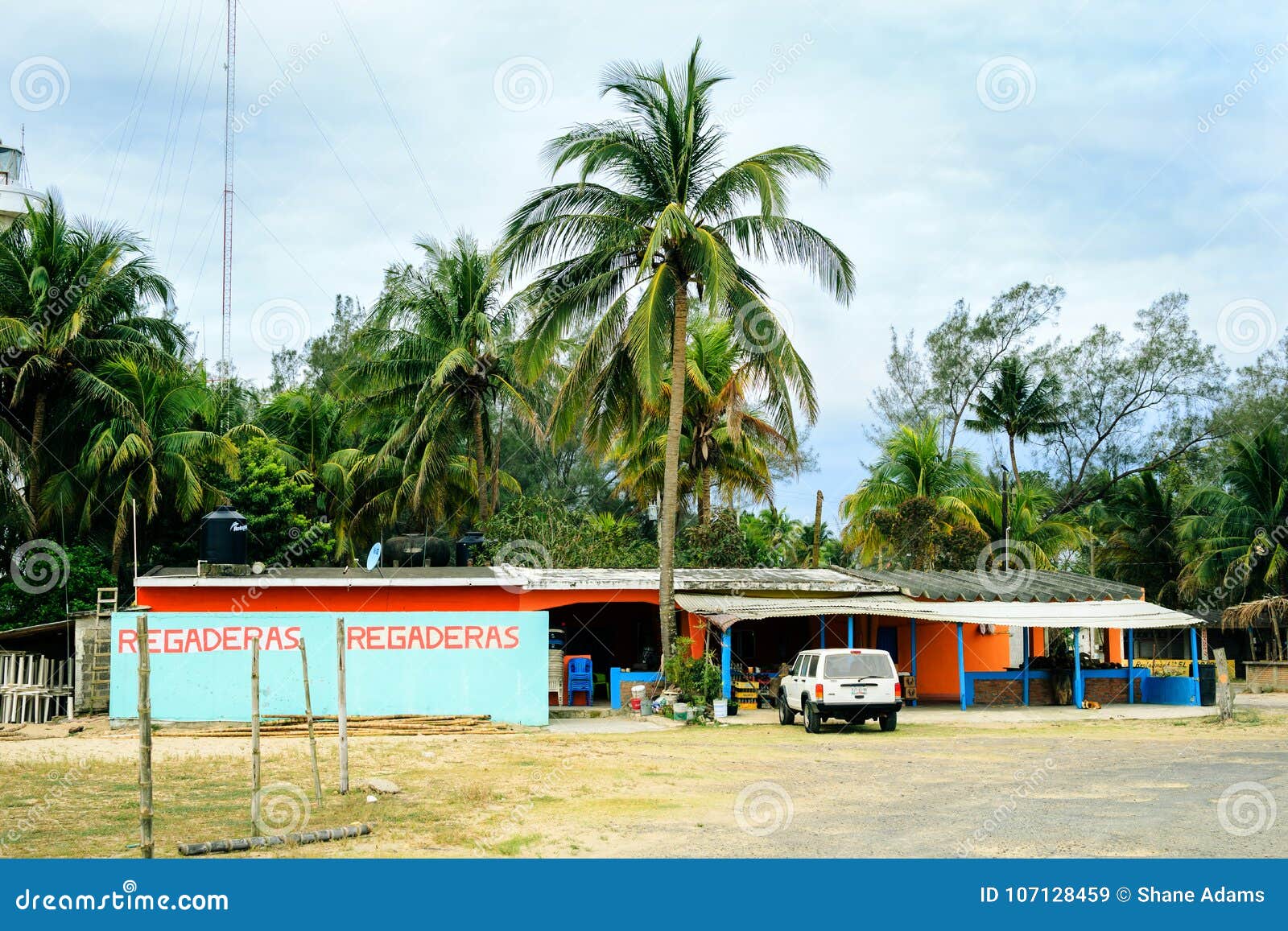 Mexican Beach Shack editorial stock image. Image of palm - 107128459