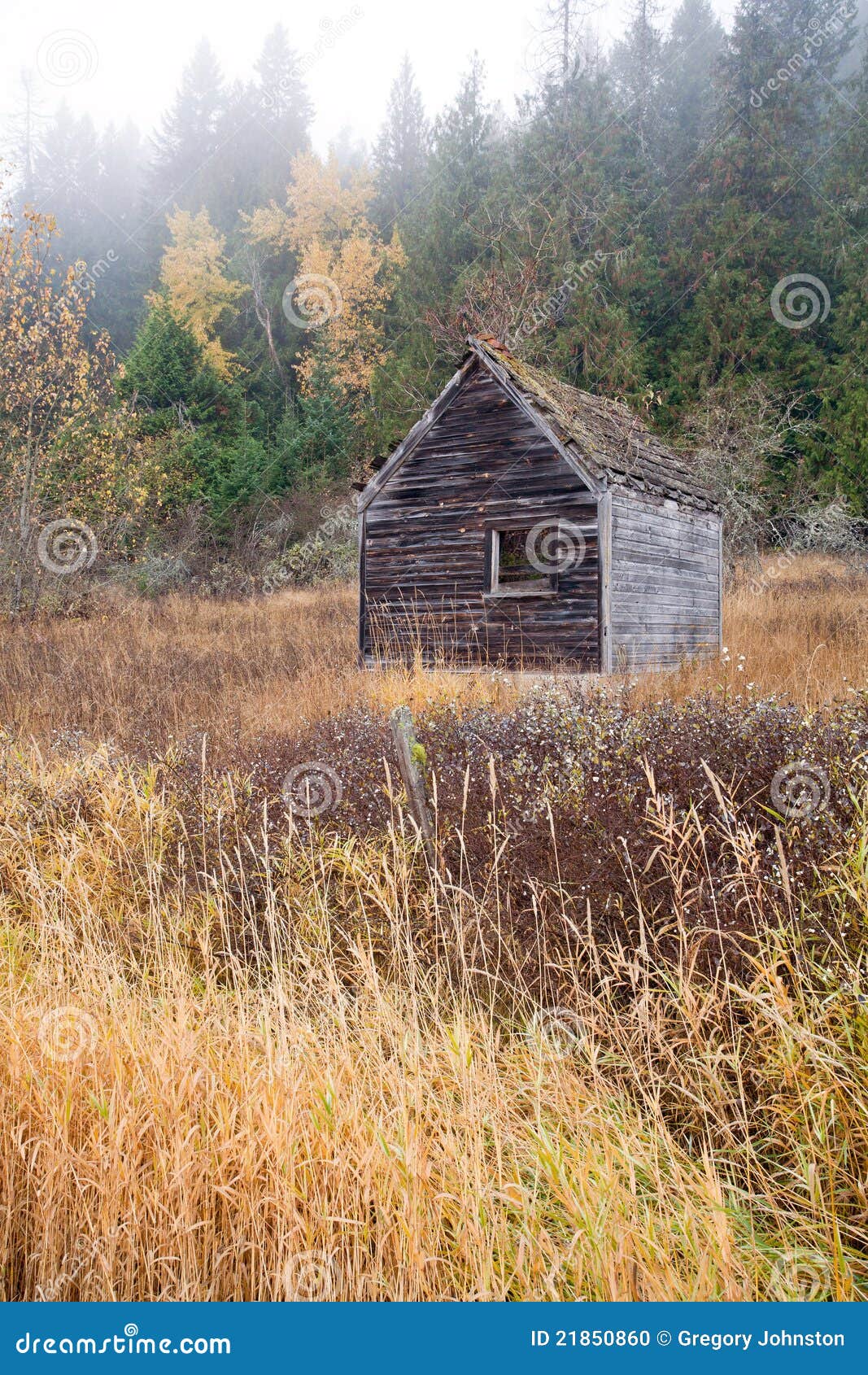 Rustic shed. stock photo. Image of landscape, worn, grass - 21850860