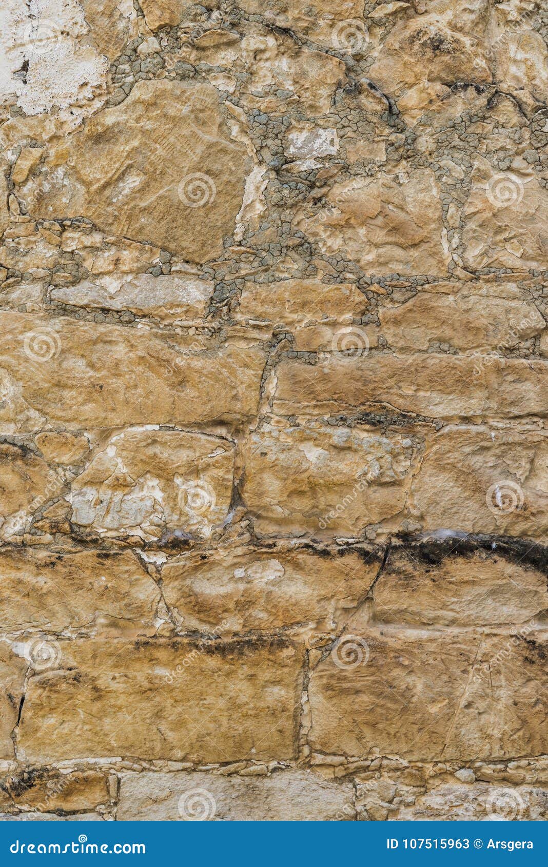 Rustic Shell Rock Stone Wall Texture or Background Stock Image - Image ...