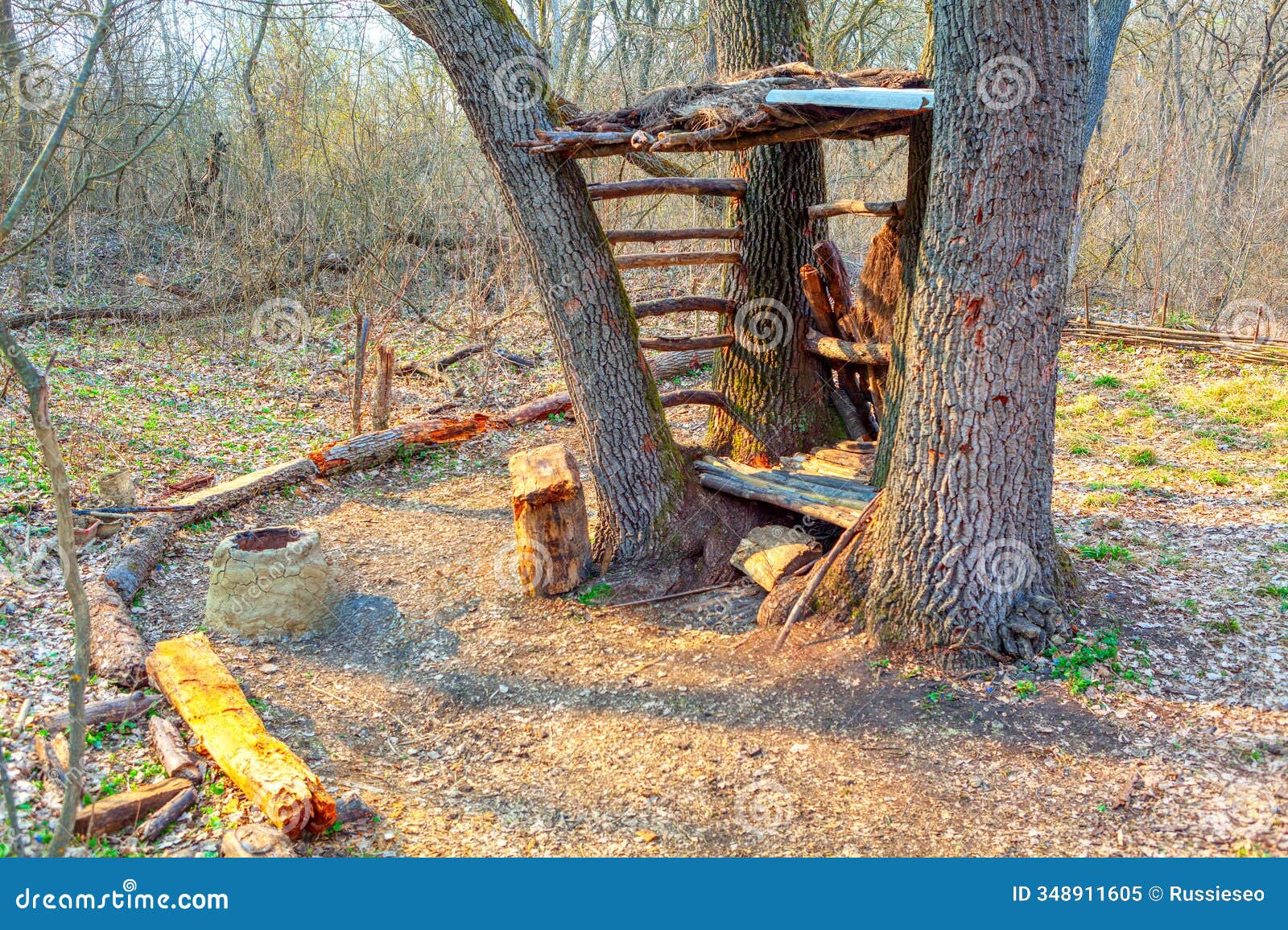 Rustic Shelter in the Forest Stock Image - Image of firepit, shelter ...