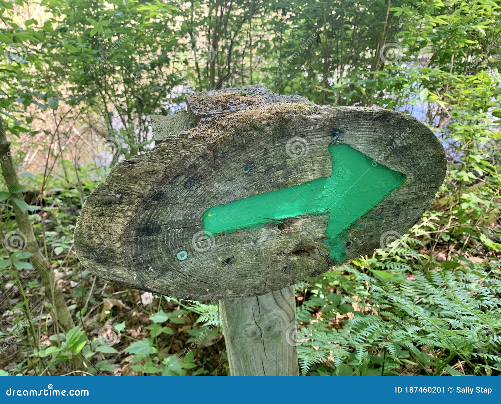 Go that way direction stock image. Image of green, sign - 187460201