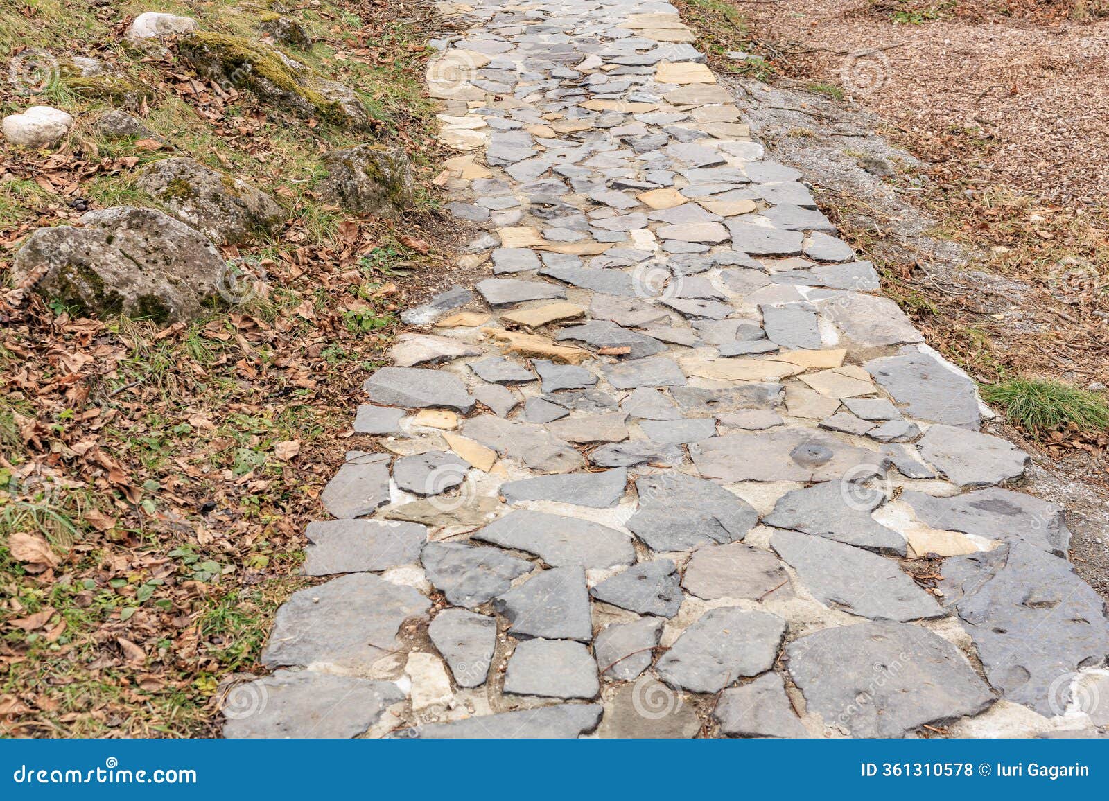 Rustic Stone Pathway through Autumn Landscape with Fallen Leaves Stock Photo - Image of outdoor ...
