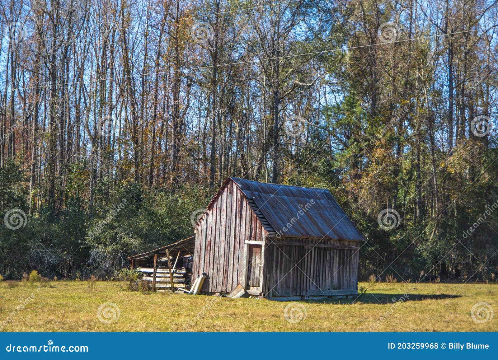 A Rustic Structure on a Farm in the Rural South Stock Photo - Image of ...