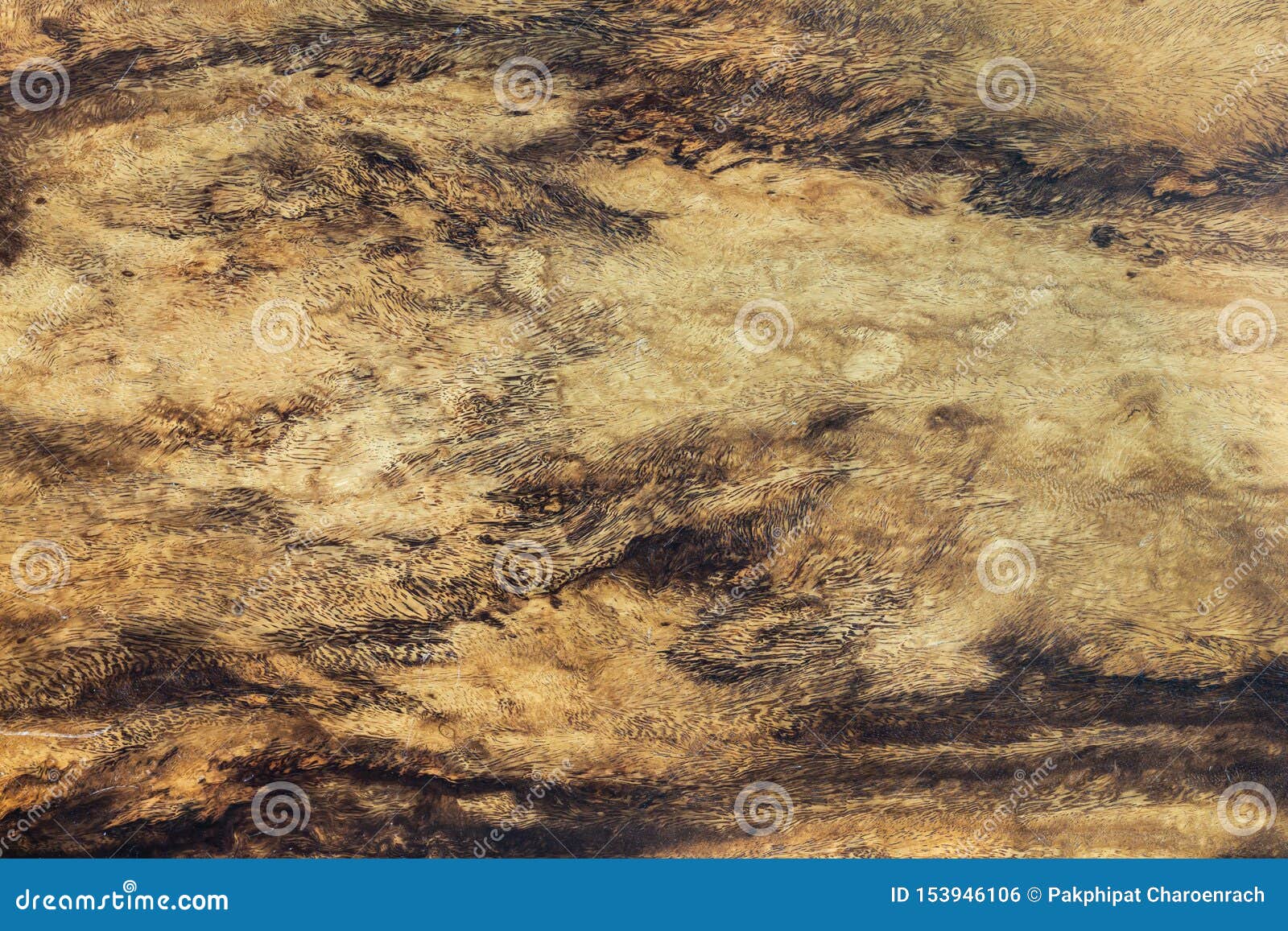 Rustic Surface Wood Table Texture Template and Rustic Wood Table ...