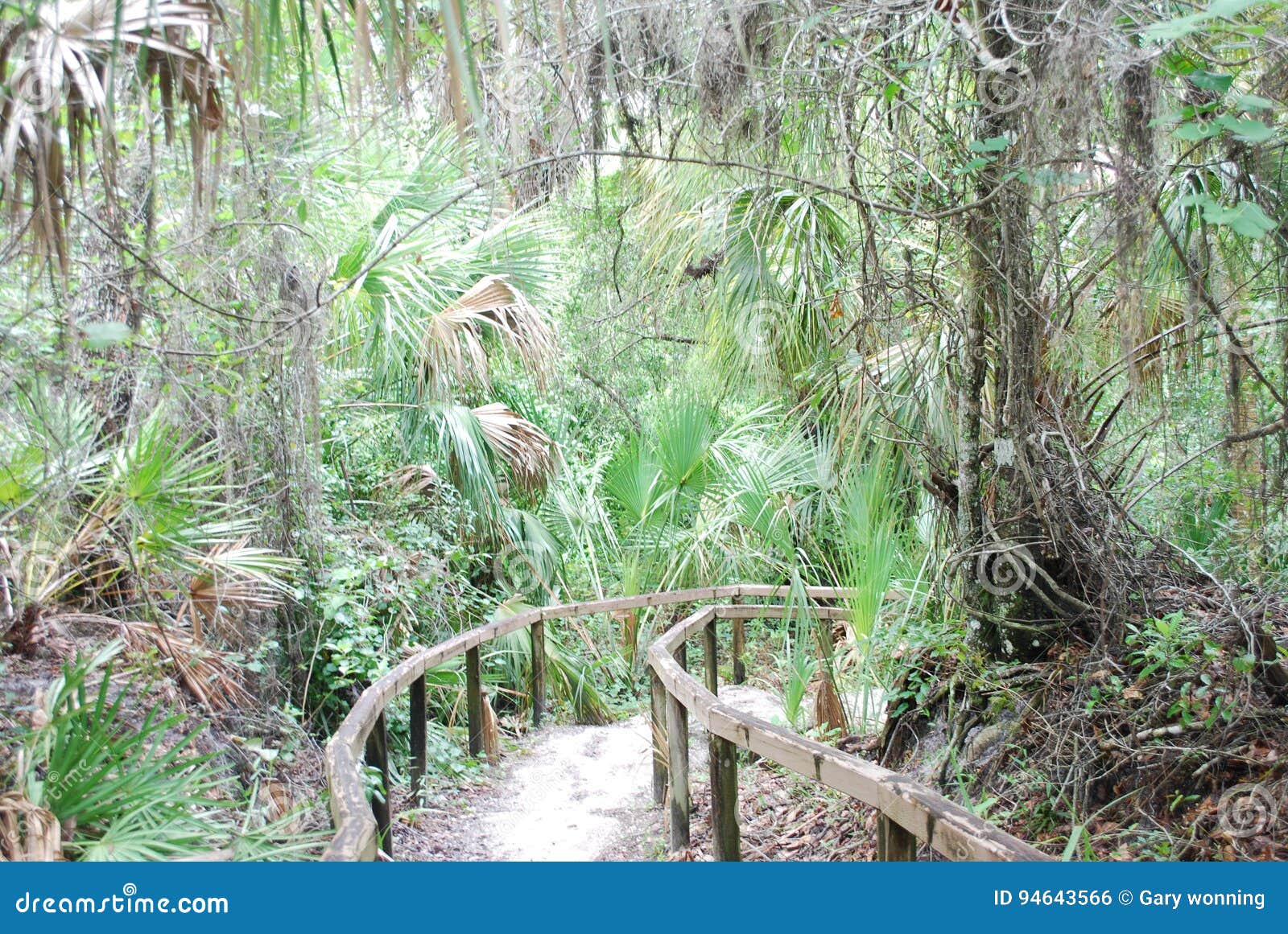 A rustic trail stock photo. Image of trail, forest, tiny - 94643566