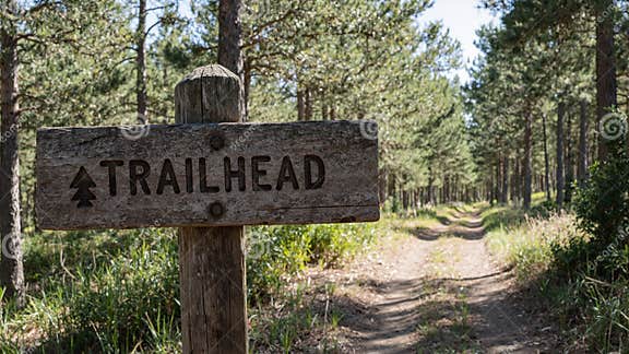Rustic Trailhead Signpost in Pine Forest Stock Illustration ...