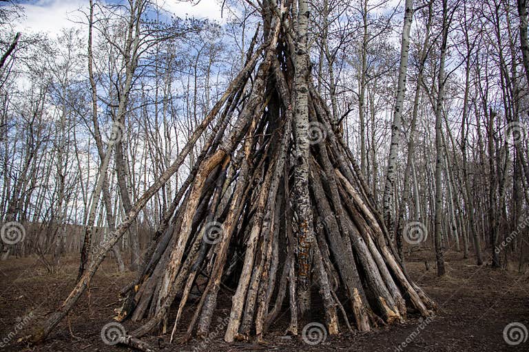 Rustic Tree Branch Structure in Forest Setting Stock Image - Image of ...