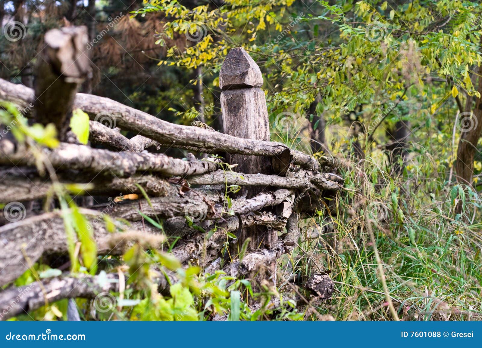 Rustic tree pole fence stock photo. Image of summer, wooden - 7601088
