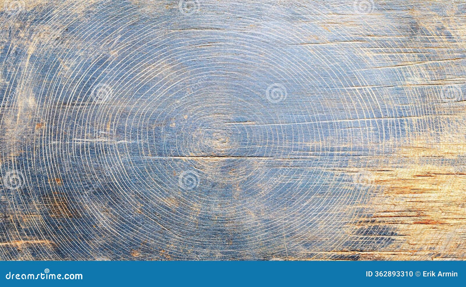 Rustic Tree Rings Texture Background Design Stock Photo - Image of ...