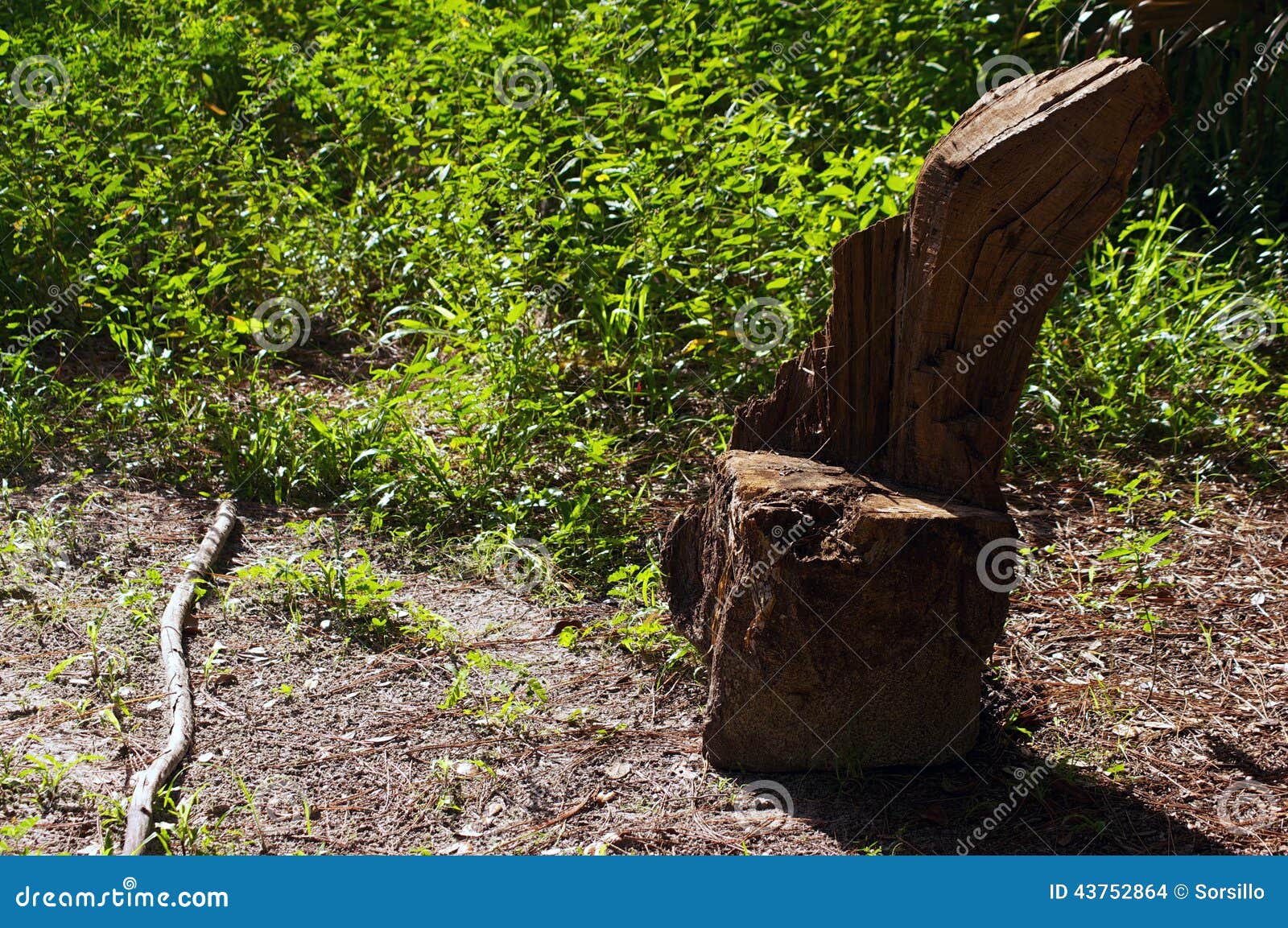 Rustic tree stump seat stock photo. Image of grass, trunk - 43752864
