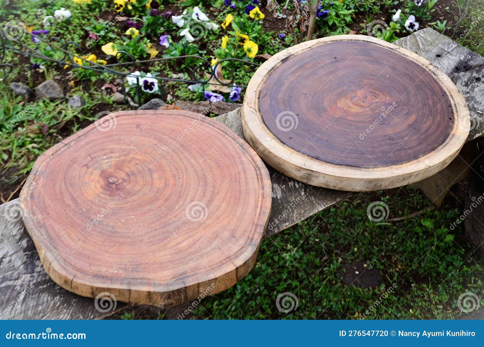 Beautiful Rustic Tree Trunk Cookies Stock Photo - Image of furniture ...