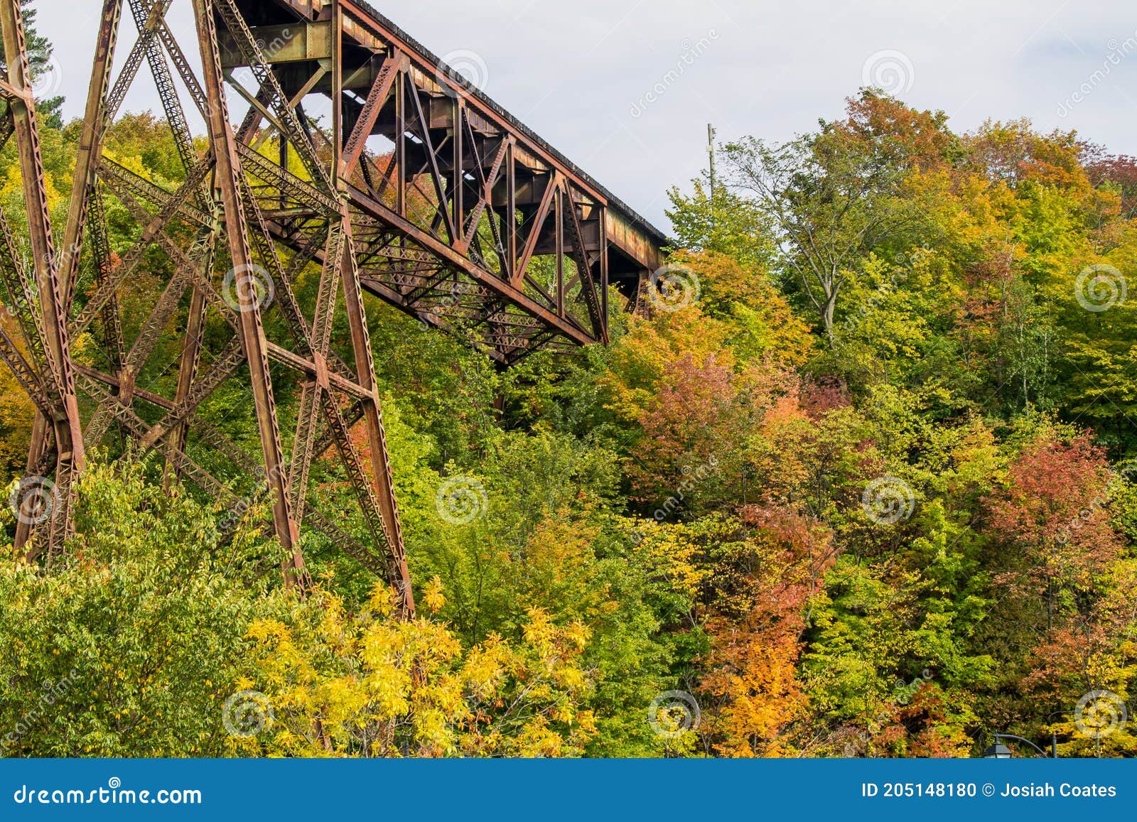 Rustic Trestle in Early Autumn Stock Photo - Image of woodland, tree ...