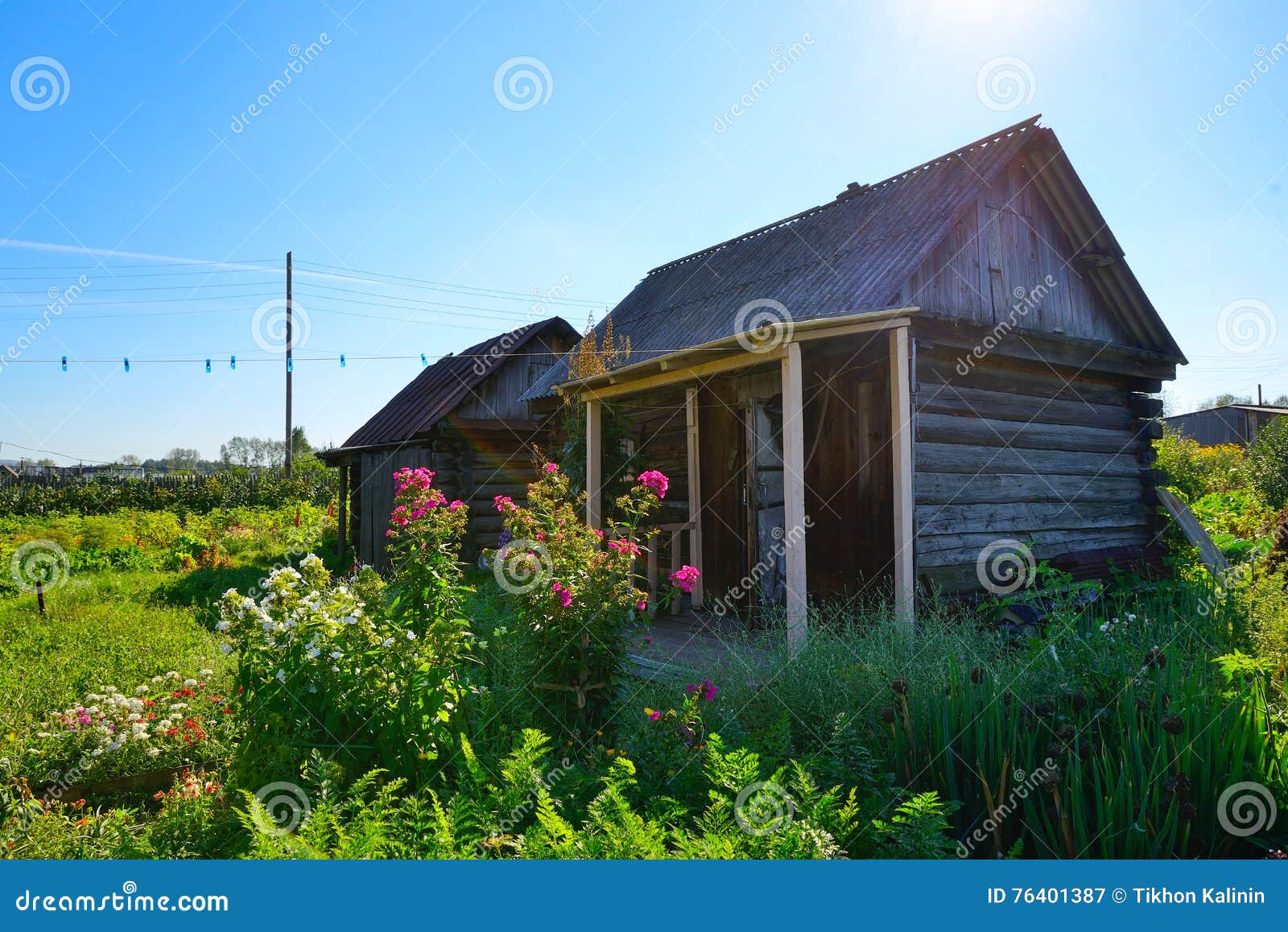 Rustic Vegetable Garden Behind the House Stock Image - Image of phlox ...
