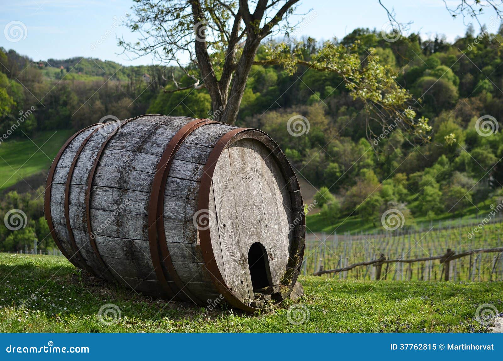 Rustic vine barrel stock image. Image of backgrounds - 37762815