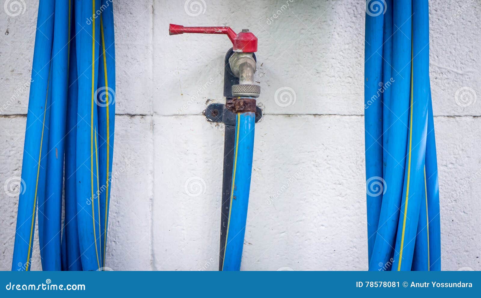 Rustic Wall Water Tap Blue Host Stock Image - Image of water, gardening ...