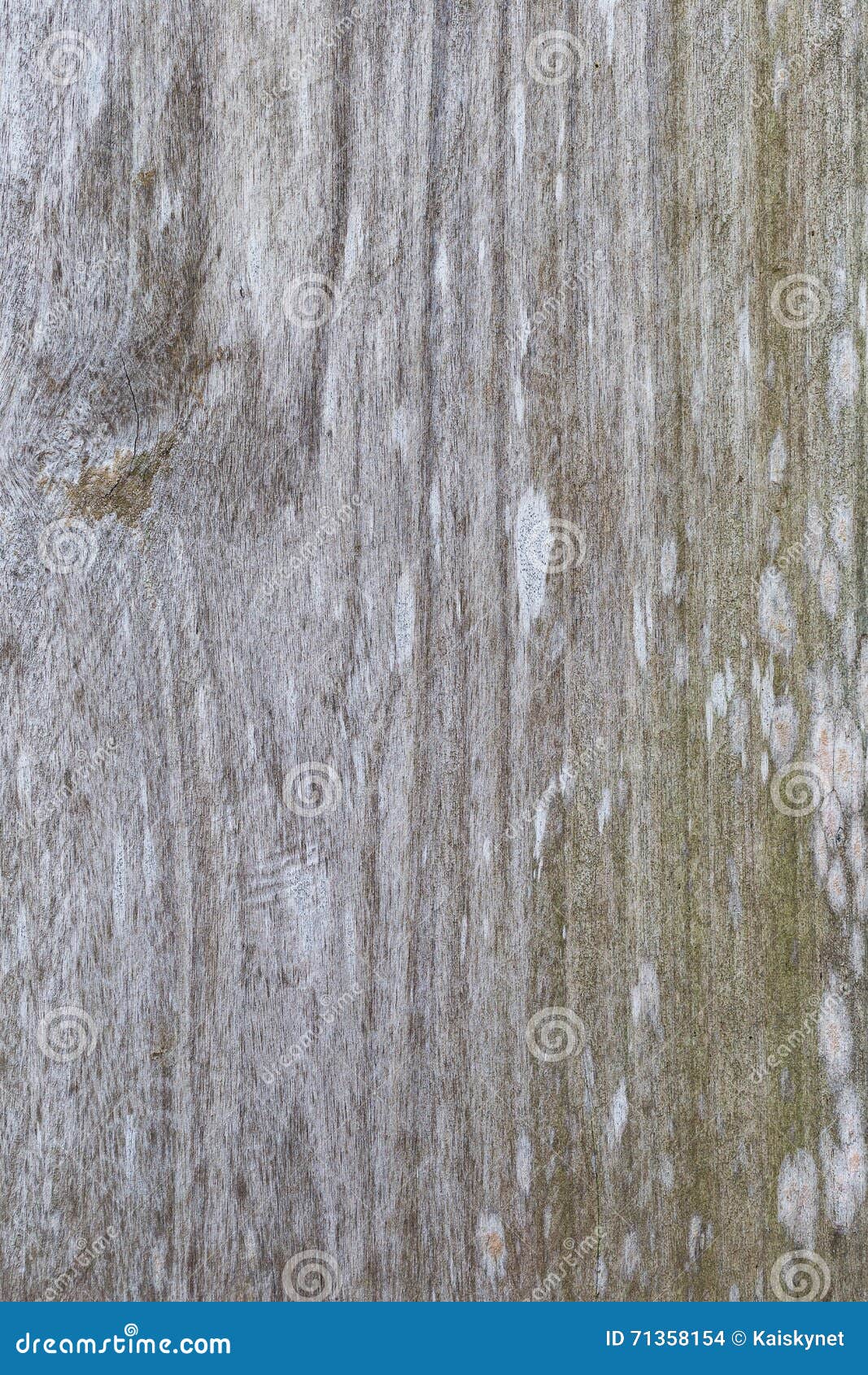 Rustic Weathered Barn Wood Background Stock Photo - Image of floor ...