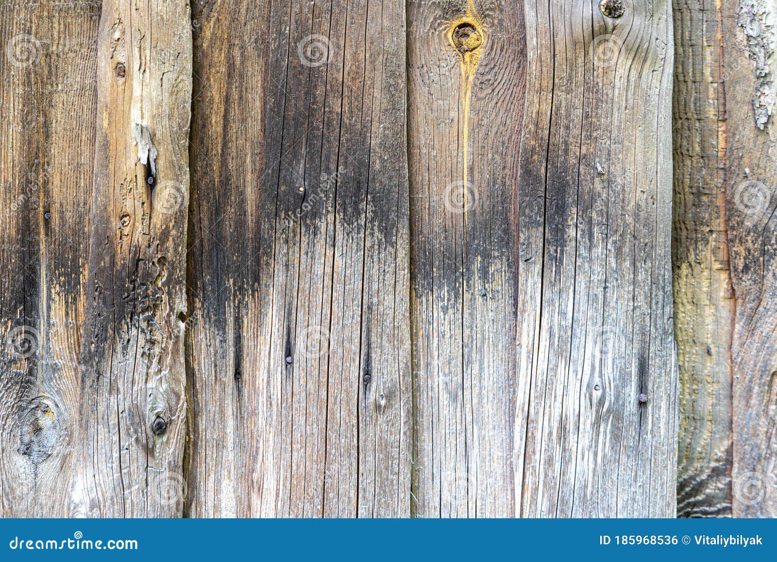 Rustic weathered barn wood stock photo. Image of pine - 185968536